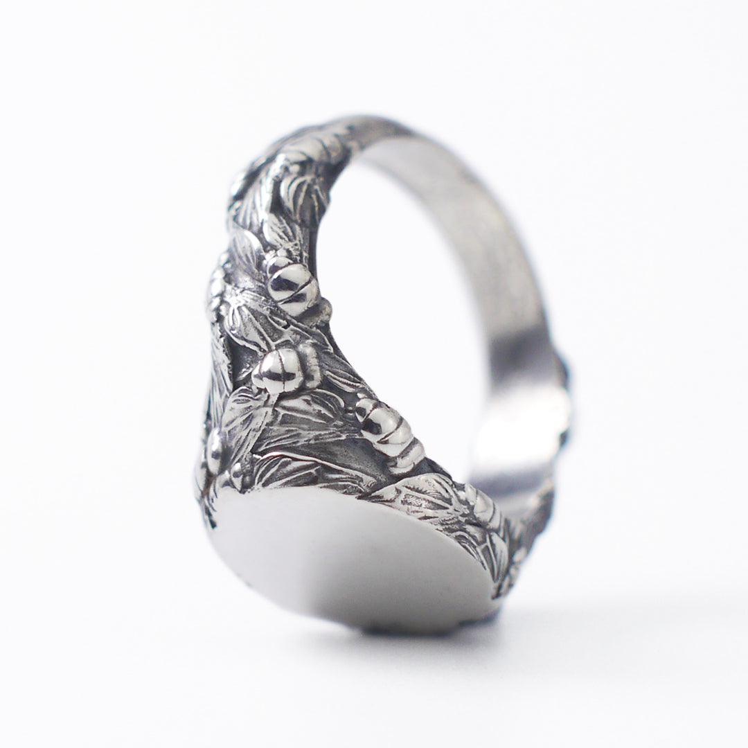 SWARM SIGNET | The Winter House Ltd.